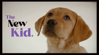 Southeastern Guide Dogs Logo
