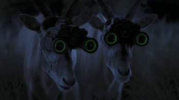 GEICO TV Commercial, 'Antelope with Night Vision Goggles' - iSpot.tv