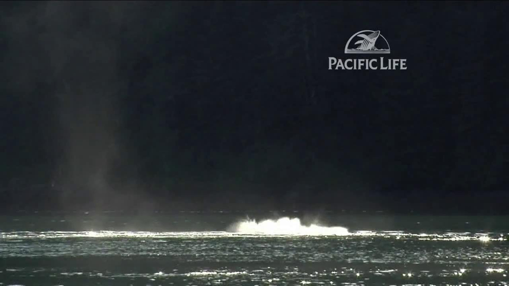 Pacific Life TV Commercial, 'Whale' - iSpot.tv