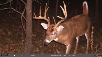 Eyecon Trail Cameras TV Commercial, 'Achieve' - iSpot.tv