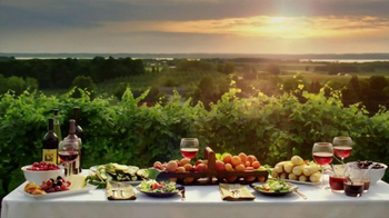 Pure Michigan TV Commercials - iSpot.tv