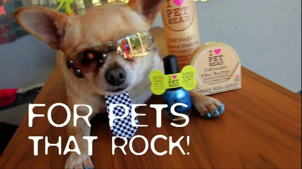 Pet Head TV Commercial, 'Talking Pets' - iSpot.tv