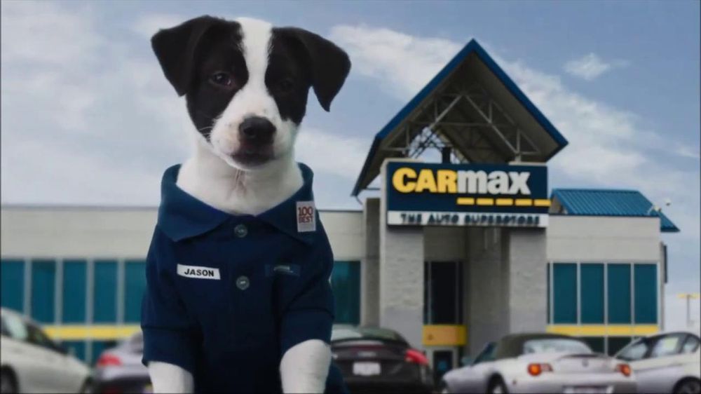 CarMax Super Bowl 2014 TV Commercial, 'Slow Bark' Puppy Version - iSpot.tv