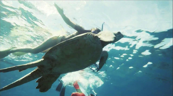 Expedia TV Commercial, 'Find Your Travel Companion' Song by Electric ...