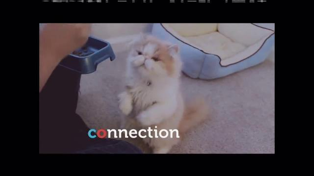 PETCO TV Commercial, 'Powerful' - iSpot.tv