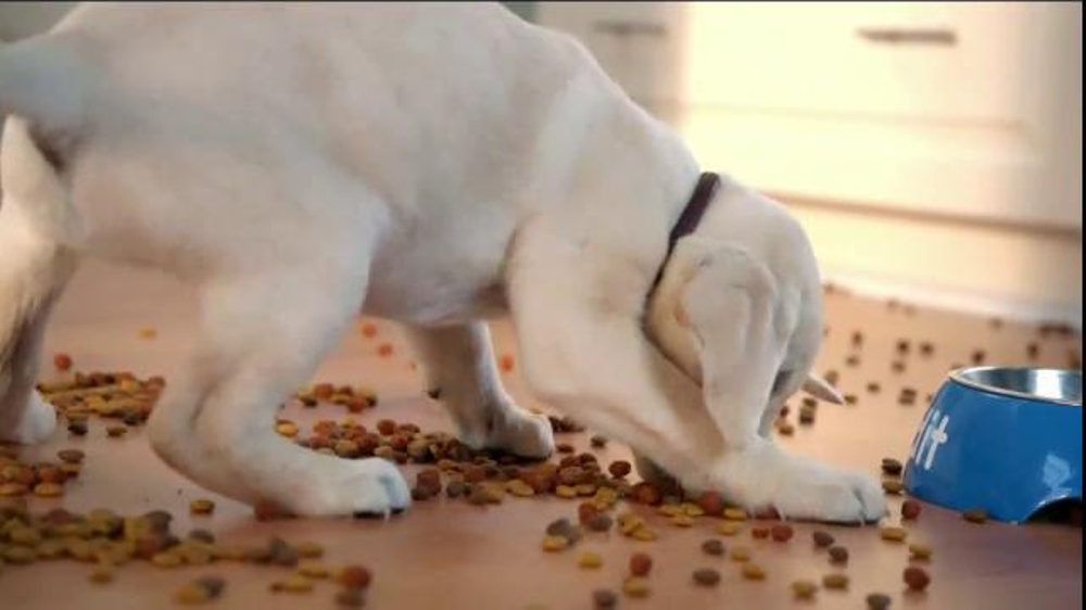 Purina Puppy Chow TV Commercial, 'Who Can Resist?' - iSpot.tv