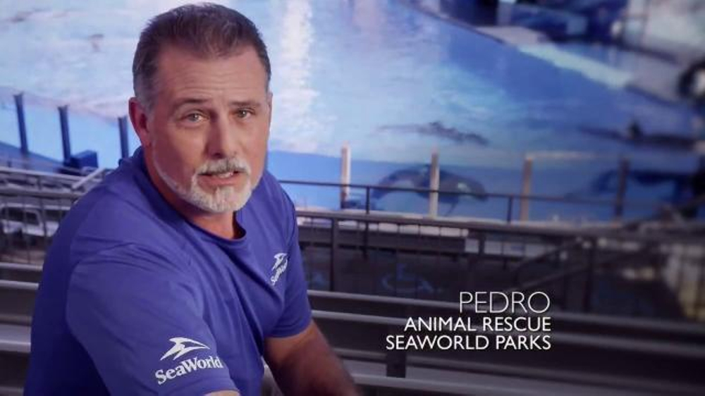 SeaWorld TV Commercial, 'Facts about SeaWorld's Killer Whales' - iSpot.tv