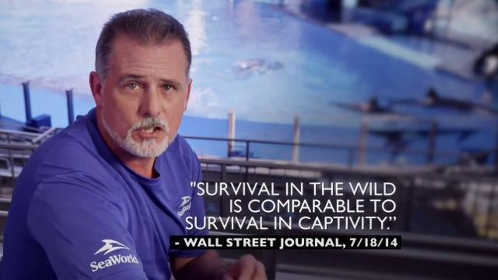 SeaWorld TV Commercial, 'Facts about SeaWorld's Killer Whales' - iSpot.tv