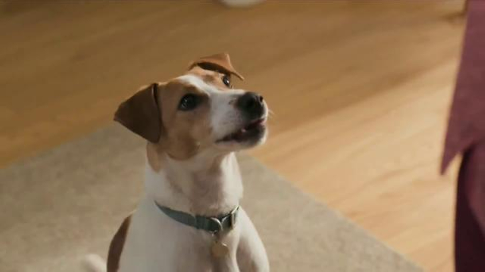 Purina Beneful Chopped Blends TV Commercial, 'Yes, I Want to Eat ...