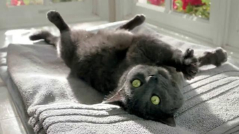 Iams TV Commercial, 'A Boy and His Dog Duck' - iSpot.tv