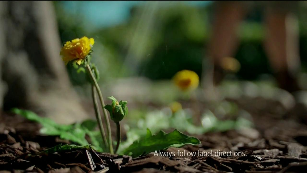 Roundup Weed & Grass Killer TV Commercial, 'Sharp Shooter' - iSpot.tv