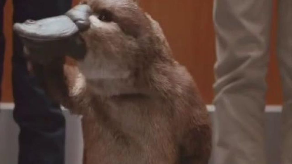 Lunchables Smoothie Kabobbles TV Commercial, 'Duck or a Beaver' - iSpot.tv