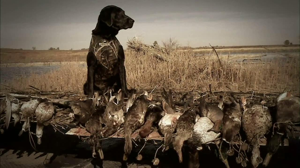 Bass Pro Shops Fall Hunting Classic TV Commercial, 'We are Hunters ...