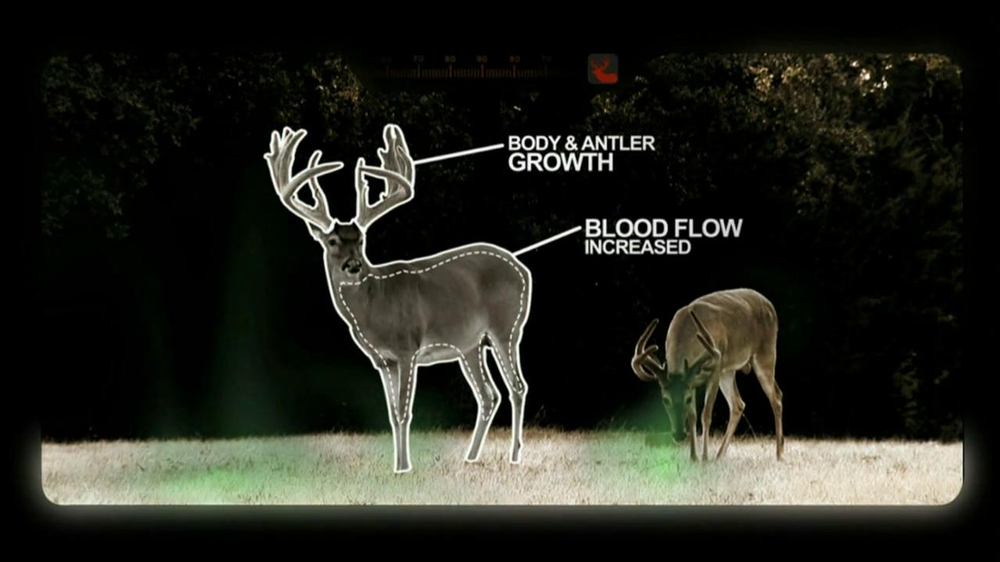 Primos Swamp Donkey TV Spot - iSpot.tv