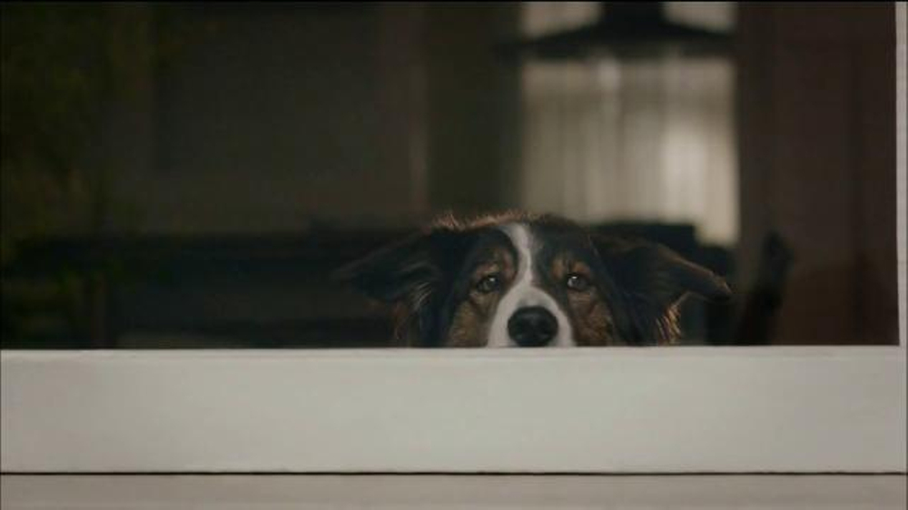 Verizon TV Commercial, 'Dog' - iSpot.tv