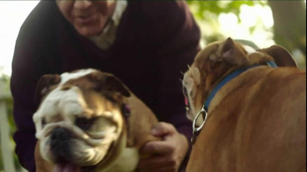 PETCO TV Commercial, 'Pet Parents' - iSpot.tv