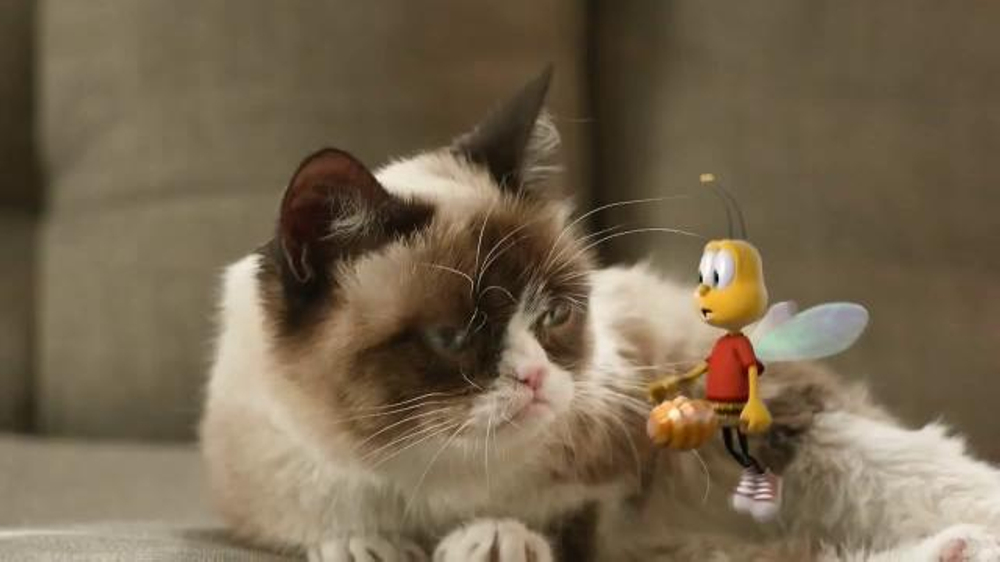 Honey Nut Cheerios TV Commercial, 'Buzz Meets Grumpy Cat' - iSpot.tv
