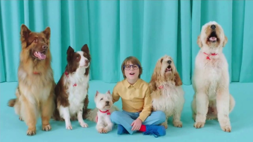 PETCO TV Commercial, 'Getting to Know You' Song by Baraka May - iSpot.tv