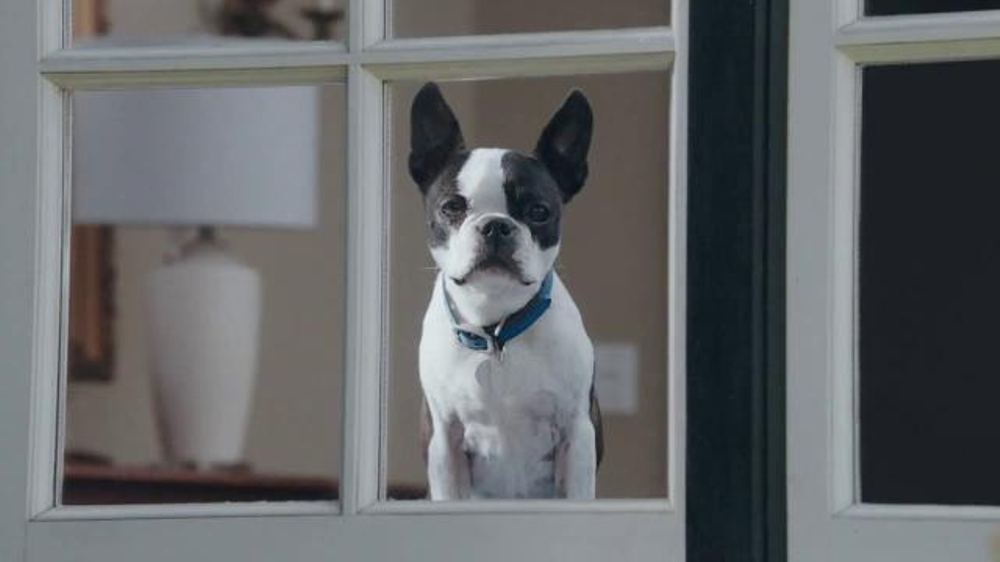 Marshalls TV Commercial, 'Mr. Bonejangles' - iSpot.tv