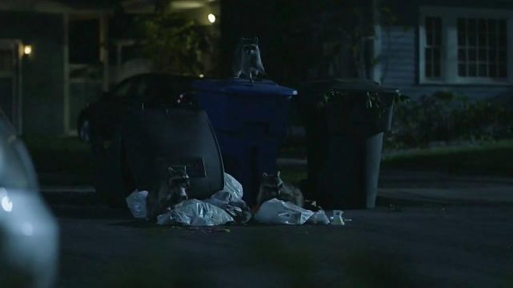 GEICO TV Commercial, 'Raccoons, C'mon Try It!: It's What You Do' - iSpot.tv