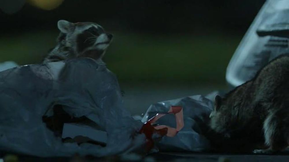 GEICO TV Commercial, 'Raccoons, C'mon Try It!: It's What You Do' - iSpot.tv