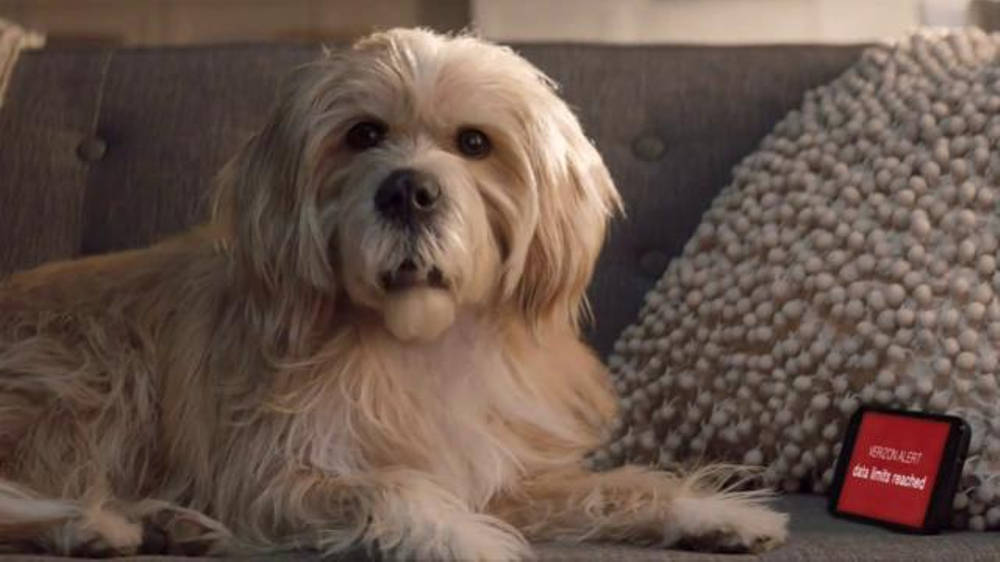 T-Mobile TV Commercial, 'Dog Years' - iSpot.tv