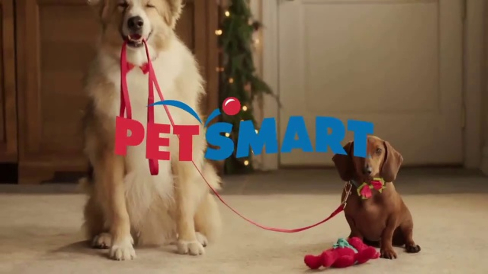 PetSmart TV Commercial, 'Dachshund Holidays: 50 Percent Off' Song by ...