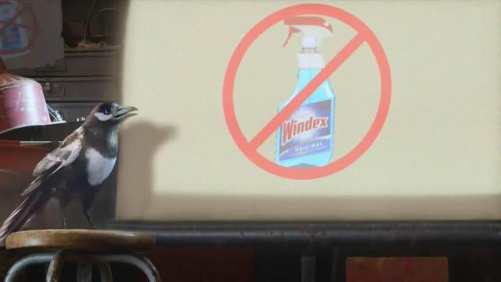 Windex TV Commercial, 'My Big Fat Greek Wedding 2' - iSpot.tv