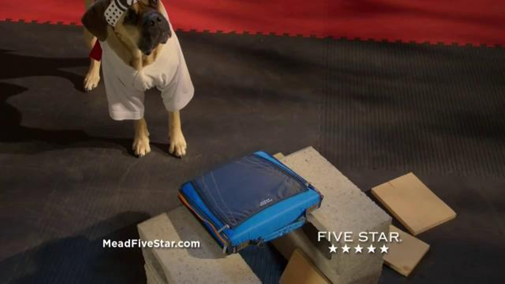 Five Star TV Commercial, 'Cinco the Dog vs. Five Star Sewn Zipper ...