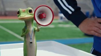 Geico Goat Memes 52 Geico Gecko Stock Photos, High Res Pictures, And