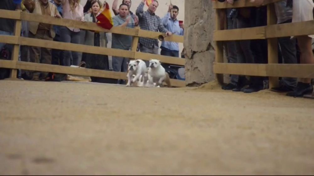 GEICO TV Commercial, 'Running of the Bulldogs' - iSpot.tv