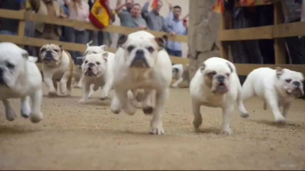 GEICO TV Commercial, 'Running of the Bulldogs' - iSpot.tv